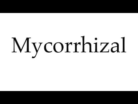 How to Pronounce Mycorrhizal