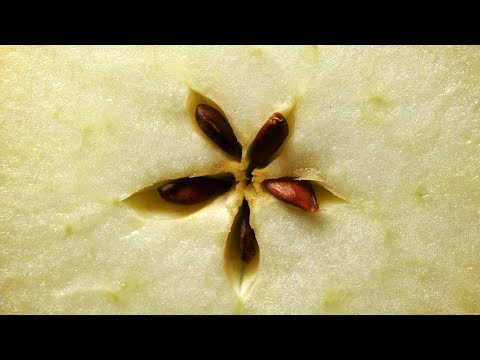 In 2 minutes: What is a BPUâ„¢?