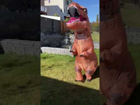 T-Rex Costume from Rubies Costumes #trex #trexcostume #shorts #rubiescostumes