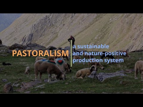1 minute trailer for Pastoralism: a sustainable and nature-positive production system