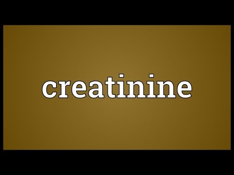 Creatinine Meaning