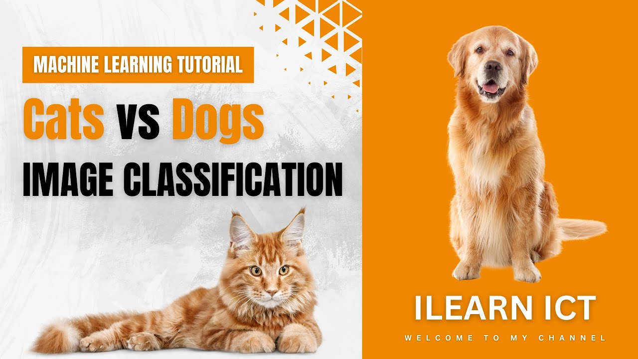 Beginner's Guide: Cat vs Dog Image Classification with Python, TensorFlow and Keras