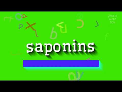 How to say "saponins"! (High Quality Voices)