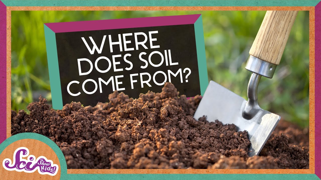 Where Does Soil Come From?