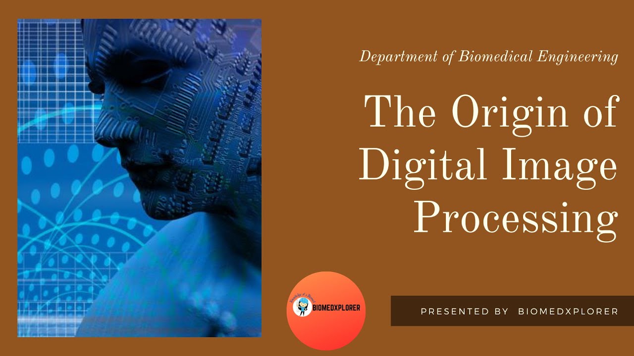 The Origin of Digital Image Processing (DIP)