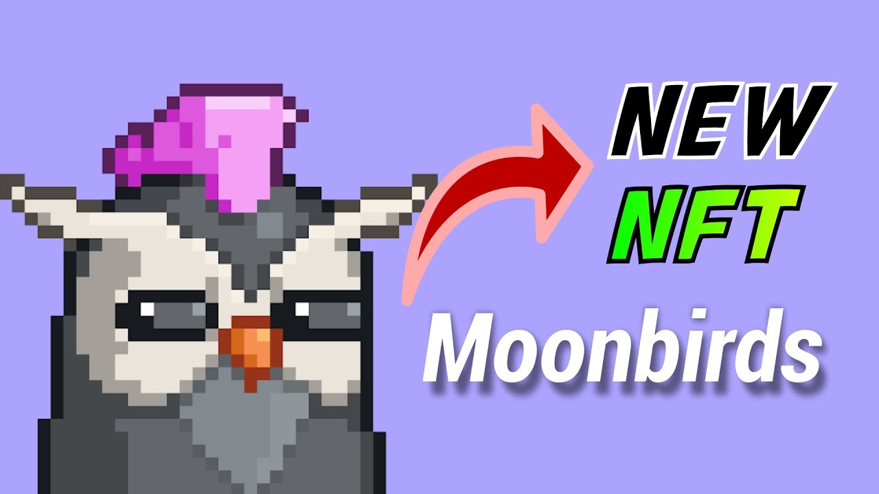 NEW NFT COLLECTION IN OPENSEA - Moonbirds #1
