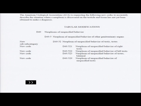2017 Sep 12th, ICD-10 Coordination and Maintenance Committee (Afternoon Session)
