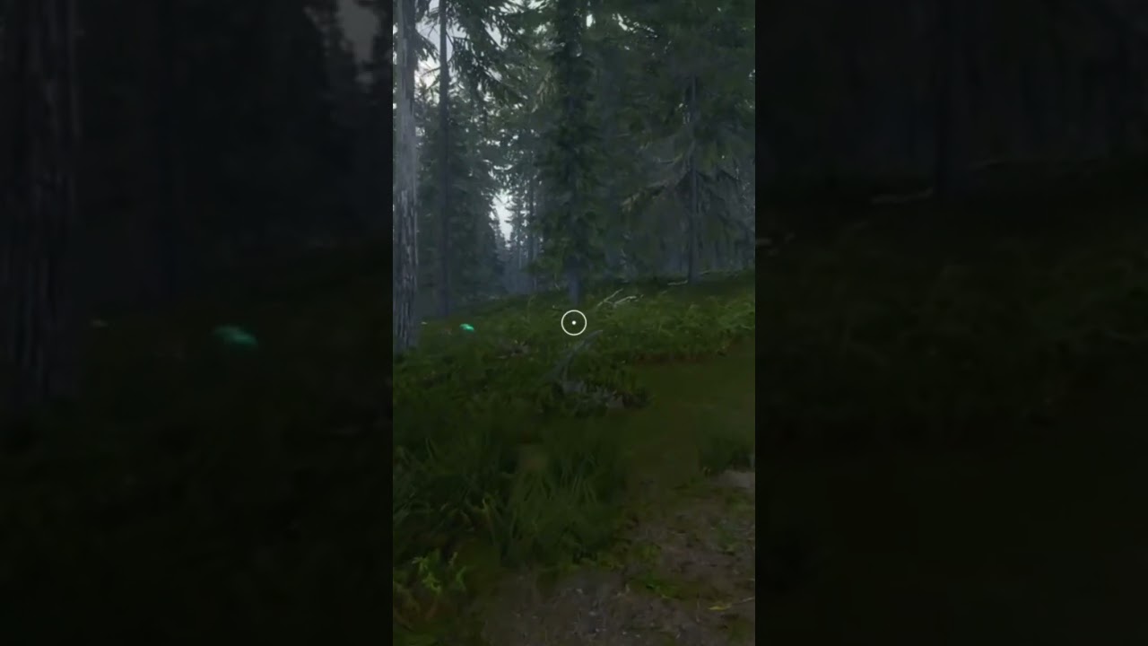 Blasted That Red Fox. #fox #hunting #games