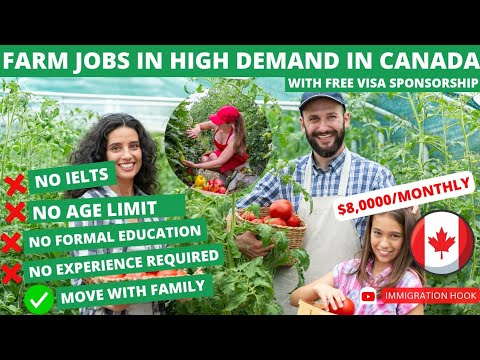 Farm Jobs In Canada With Free Visa Sponsorship In 2023 | No Education, No Experience Required