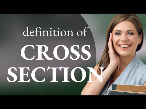 Cross section • meaning of CROSS SECTION
