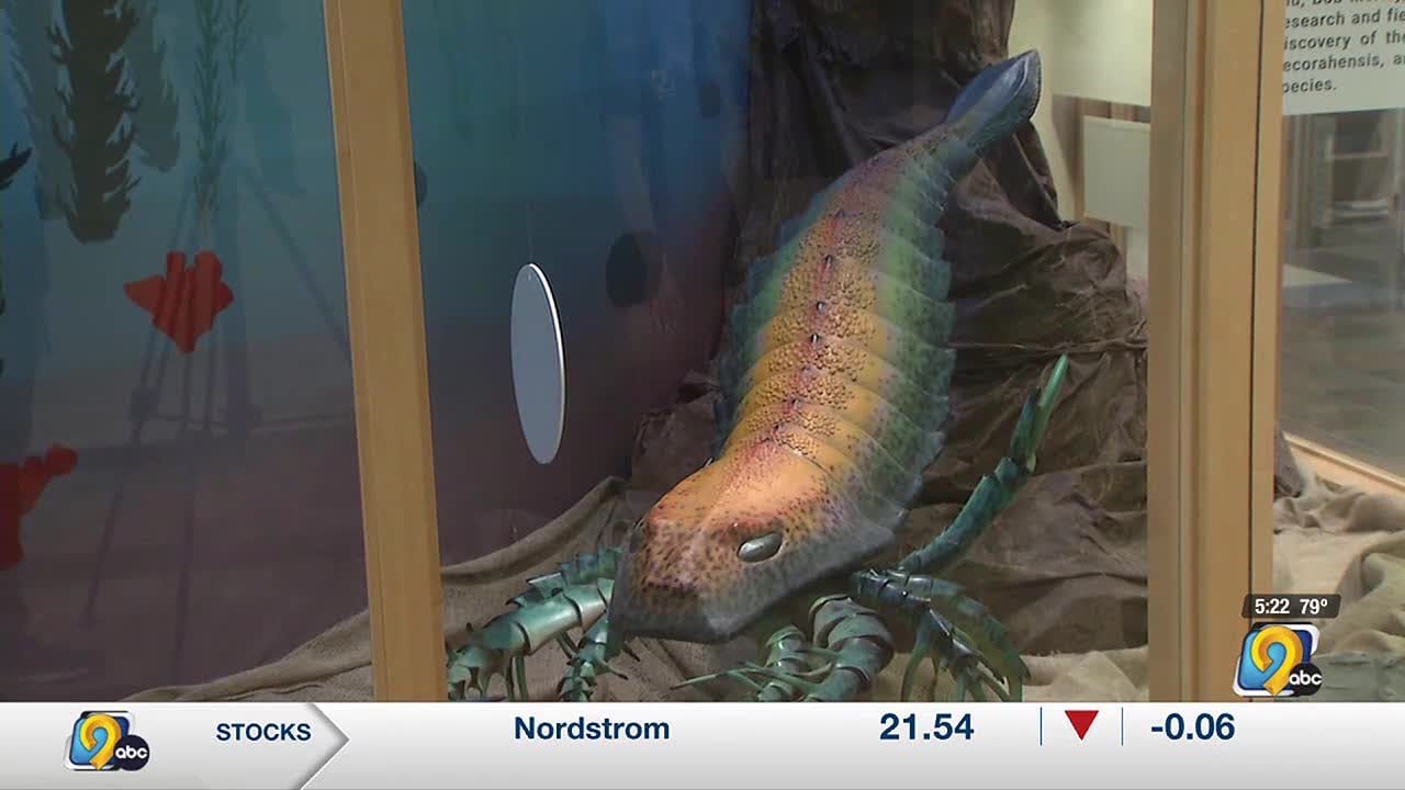 Luther College displays model of giant sea scorpion discovered in Our Town Decorah