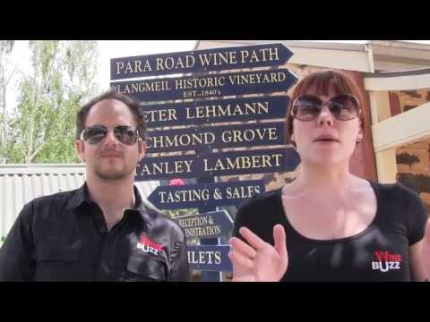 Wine Buzz-Wine TV Youtube Channel Trailer