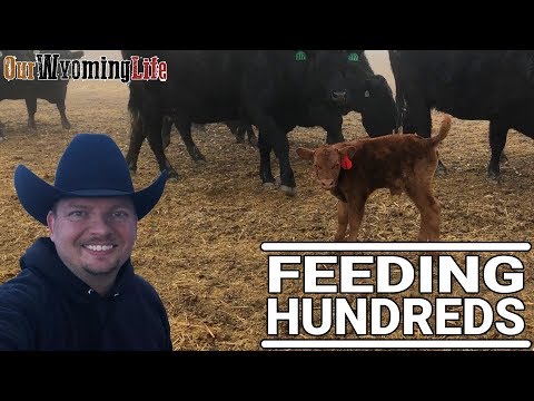 The Importance of Agriculture and How Much a Farmer Really Makes