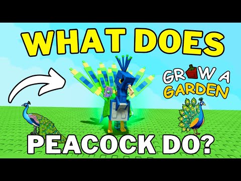 What Does Peacock Do in Grow a Garden | How To Get Peacock Pet in Grow a Garden | Roblox