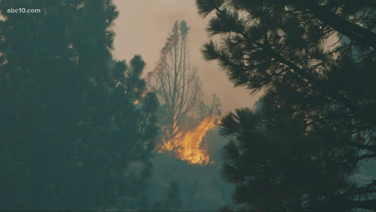 Tamarack Fire explodes to 21,000 acres, no containment