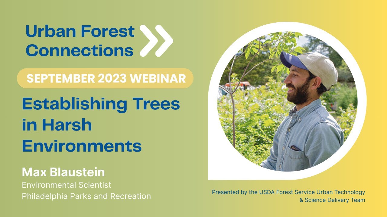 Urban Forest Connections | Establishing Trees in Harsh Environments | Max Blaustein