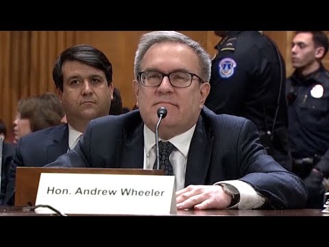 The Fox in Charge of the Henhouse: Activists Decry Trump’s EPA Pick, Coal Lobbyist Andrew Wheeler