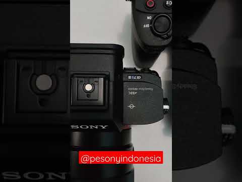 Sony A7IV or Sony A7SIII