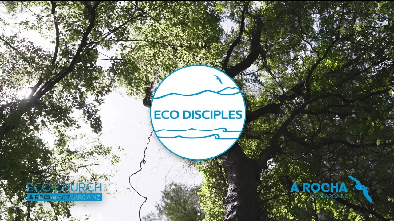 Trailer - Eco Disciples - A 6 Part Crash Course in Eco Theology