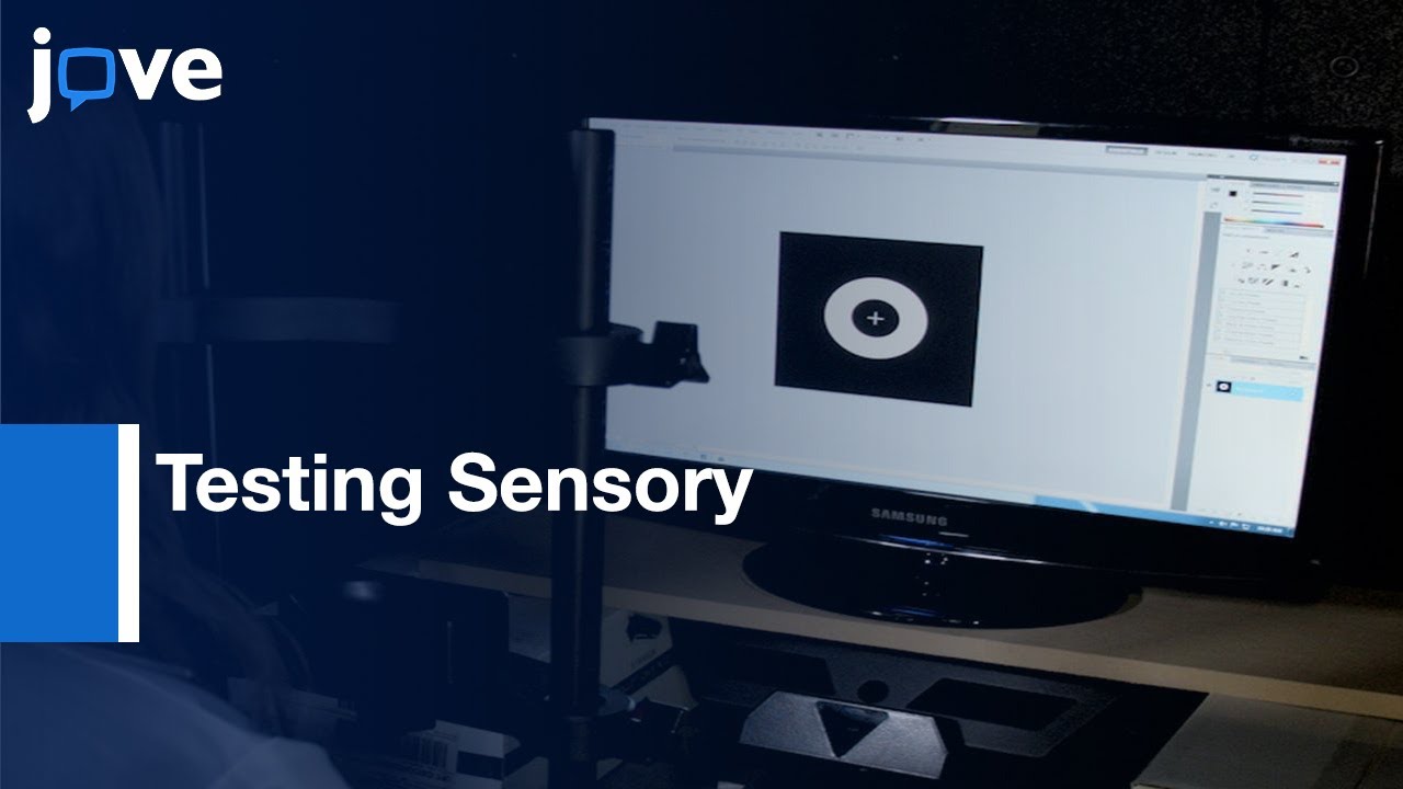 Testing Sensory & Multisensory Function-Children With Autism Spectrum Disorder l Protocol Preview