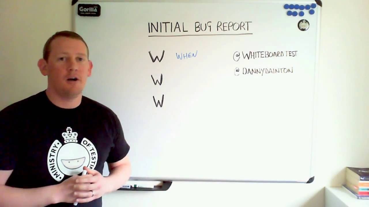 Initial Bug Report (Software Testing)
