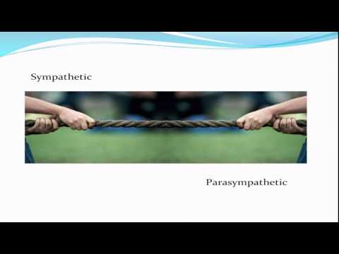 Fetal Heart Rate Interpretation