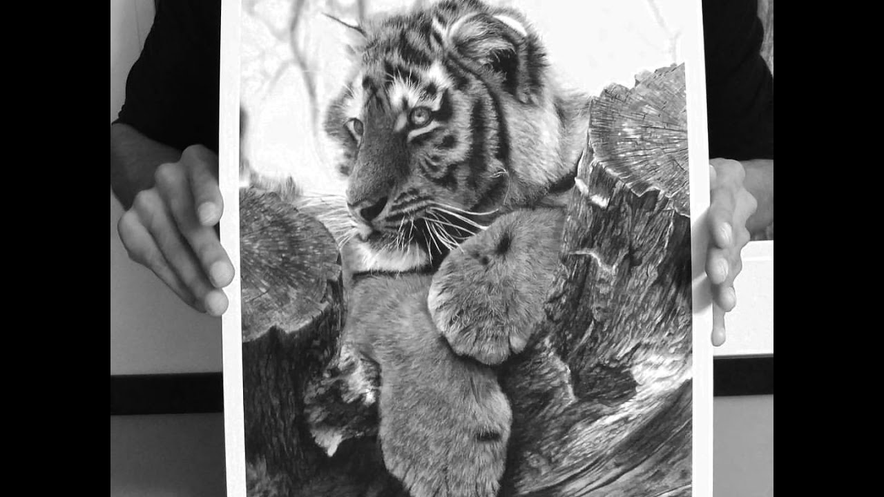 Tiger Cub Giclee Prints