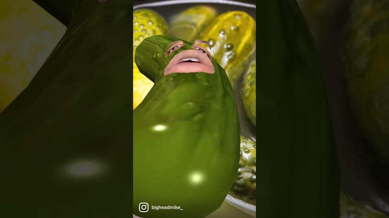 Tickle My Pickle #duet #tiktok#fyp #foryou #foryoupage #stitch #reels #StemDrop001 #funny #remix
