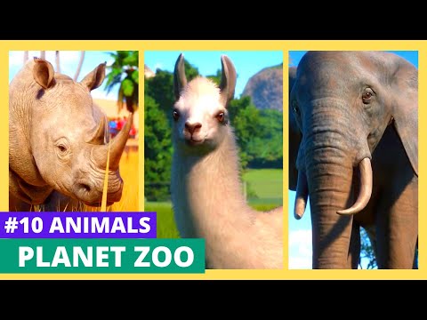 Super Planet Zoo! #10 Names And Sounds Wild Animals 30