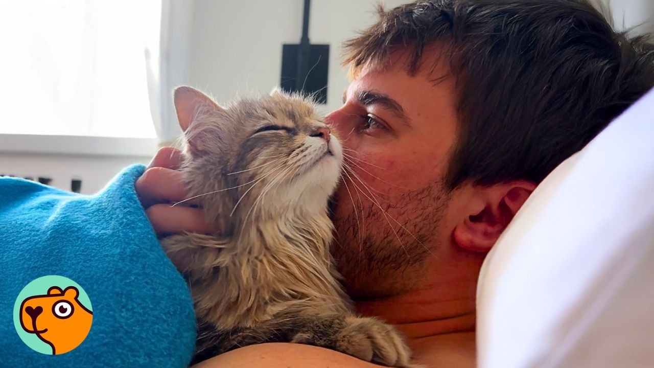 Cat Wins Over the Guy Who Never Wanted a Cat | Cuddle Buddies