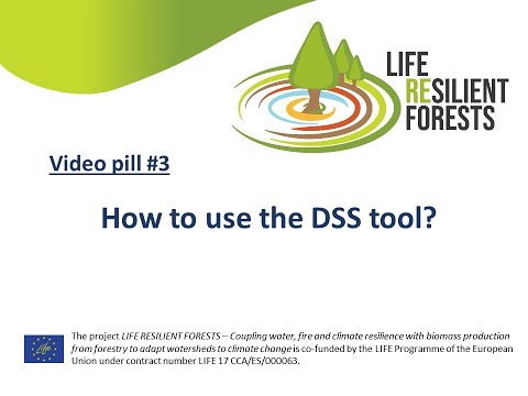 How to use the DSS Tool