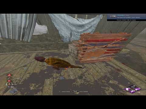 Steam Community :: Video :: NEW DBD FOV HACKS 2023