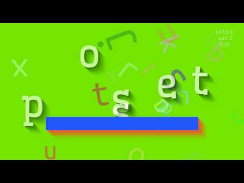 How to say "posset"! (High Quality Voices)