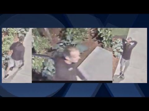 PPB, Crime Stoppers seek help identifying sexual assault suspect