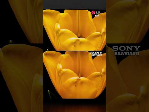 LG G5 VS SONY BRAVIA 8II OLED Ultimate Battle