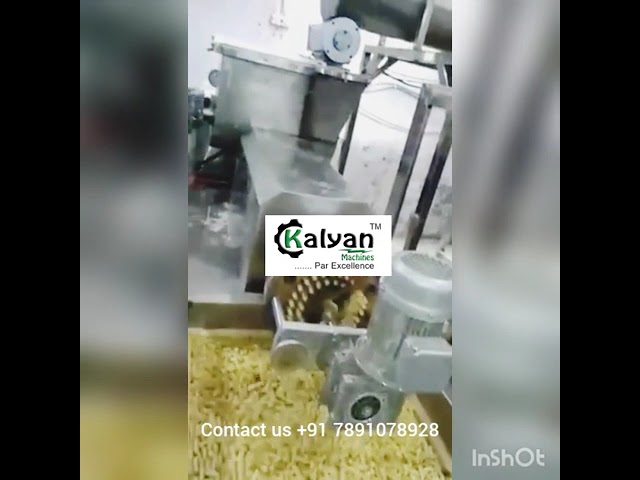 Pasta Making Machine - Fully Automatic Pasta Processing Machine Manufacturer from Noida