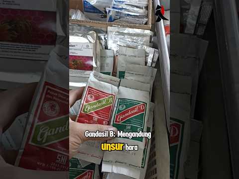 PERBEDAAN PUPUK GANDASIL B DAN GANDASIL D #pertanian