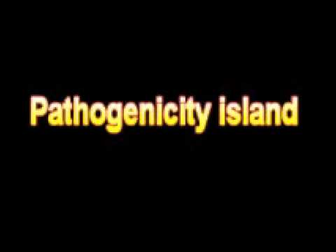 What Is The Definition Of Pathogenicity island Medical School Terminology Dictionary