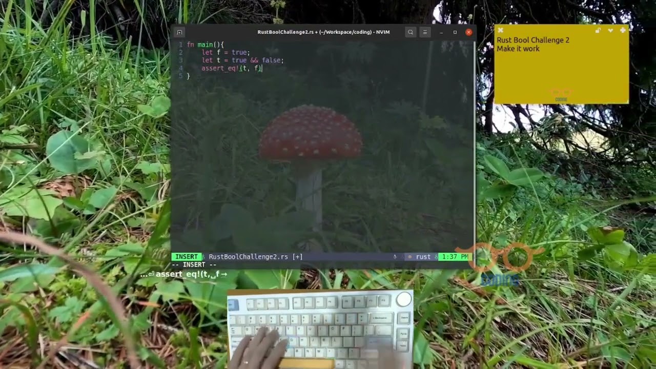 Learning Rust Programming -  Bool - Challenge 2 | ASMR Coding