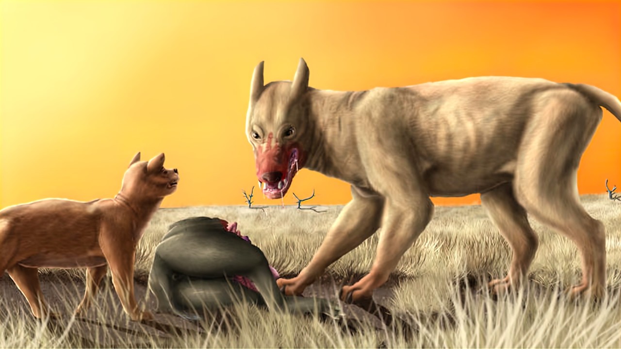 What Was Life Like During the Eocene Epoch?