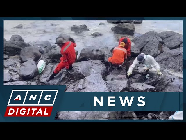 Oil Spill at Oriental Mindoro, Philippine: Causes, Consequences, and ...