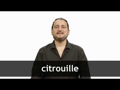 English Translation of “CITROUILLE” | Collins French-English Dictionary