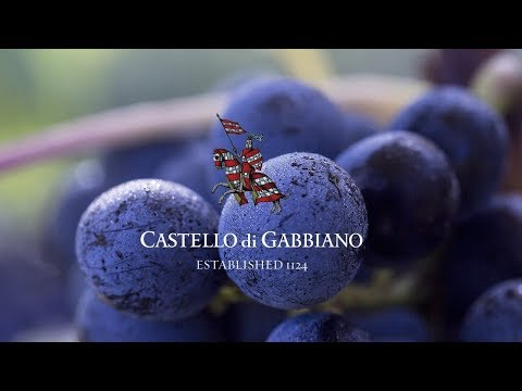 Castello di Gabbiano wine poetry
