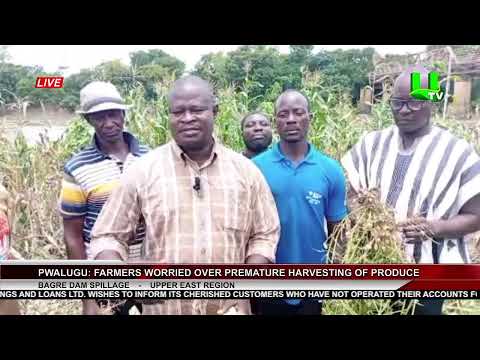 UTV Ghana Online Live Stream