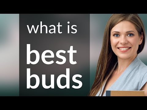 "Best Buds": Friendship in English Slang