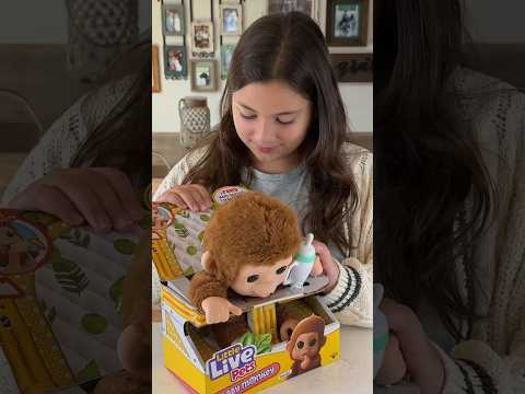 MONKEY MADNESS! Unboxing Little Live Pets Mango! #kidsvideo #kidsshorts #toysforkids