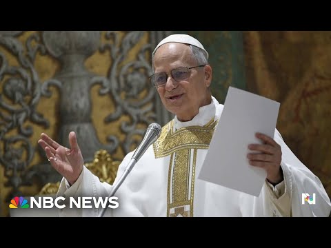 What led to the election of Pope Leo XIV and how he might tackle political issues