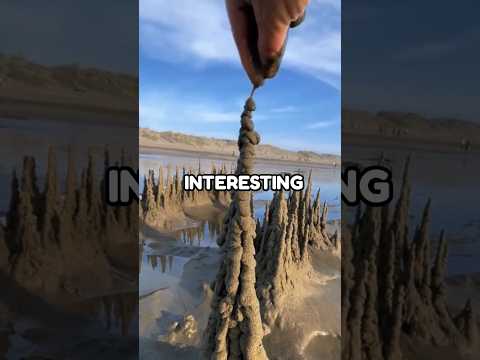 Interesting Facts You Didn’t Know #shorts #facts #randomfacts #satisfying