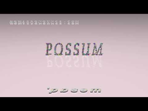 possum - pronunciation + Examples in sentences and phrases