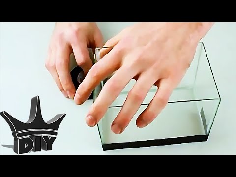 HOW TO: DIY aquarium coral, plant and fish VIEWER